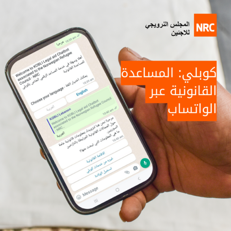 Safety, dignity and efficiency: the role of digital platforms in legal ...